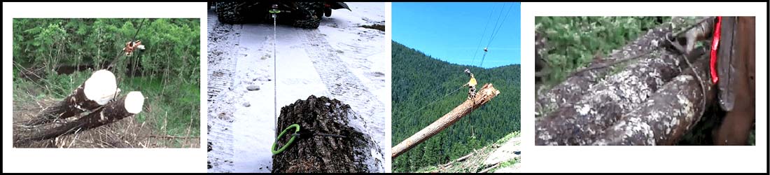 Forestry Rope | Buy Forestry & Logging Cable - Rope Services Direct