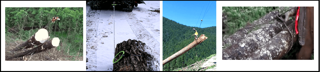 Forestry Rope | Logging Cable | Rope Services Direct